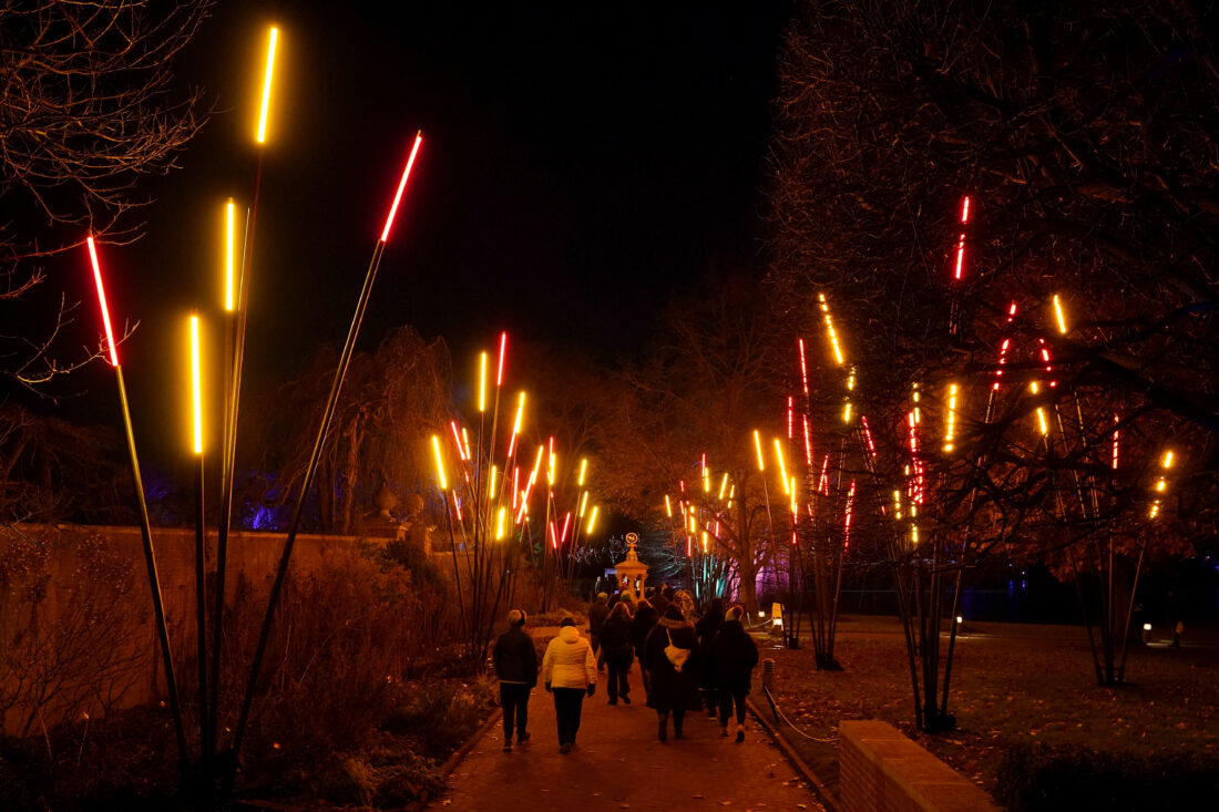 Thousands of lights at Chicago Botanic Garden illuminate tunnels ...